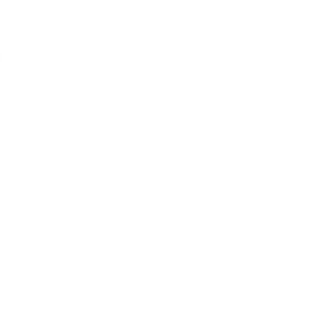 Caster Lighting- Factory and Manufacturer- Flood Light, Area Light